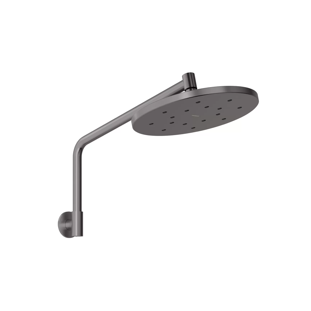 Phoenix Ormond High-Rise Shower Arm and Rose - Brushed Carbon - 609-53 ...