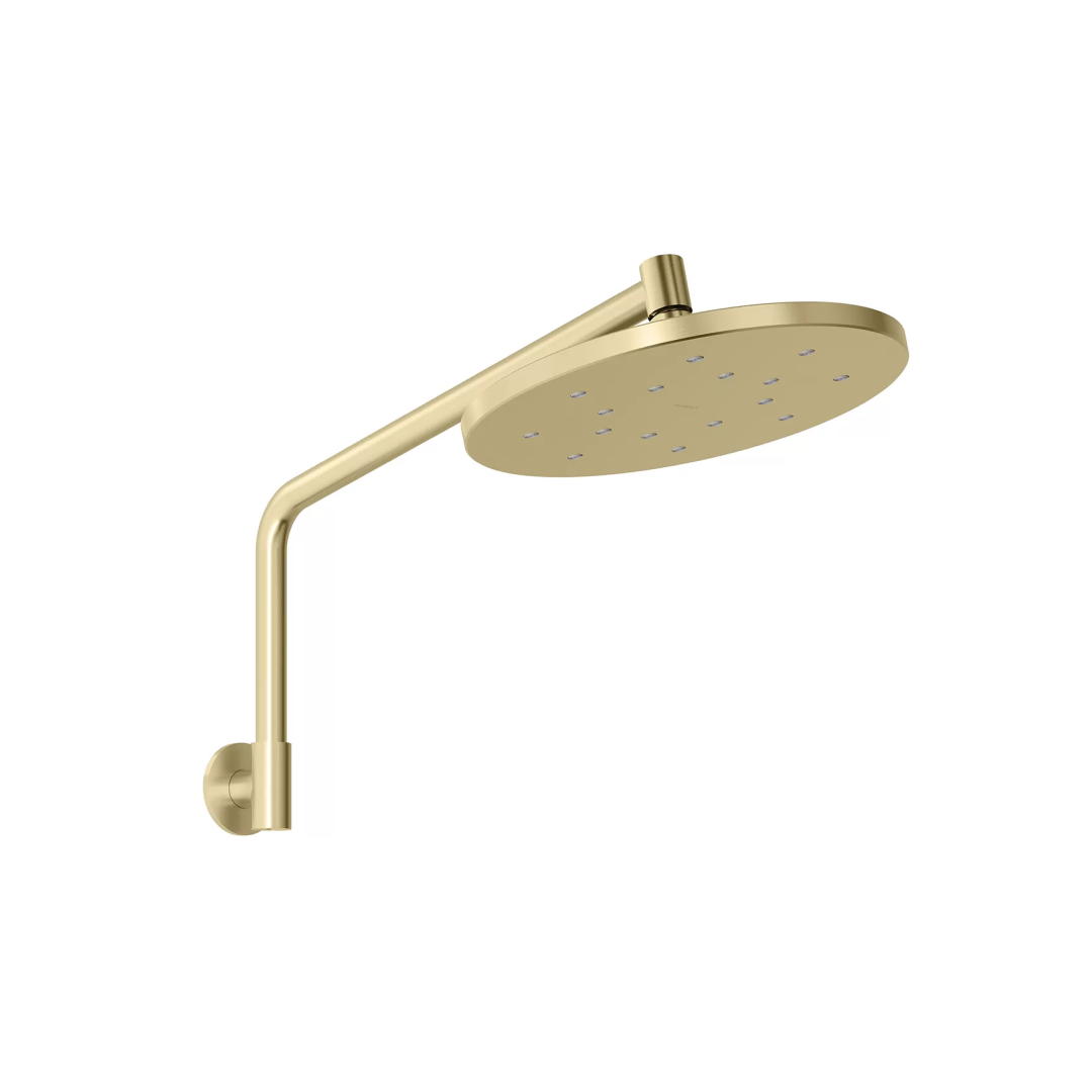 Phoenix Ormond High-Rise Shower Arm and Rose - Brushed Gold - 609-5300 ...